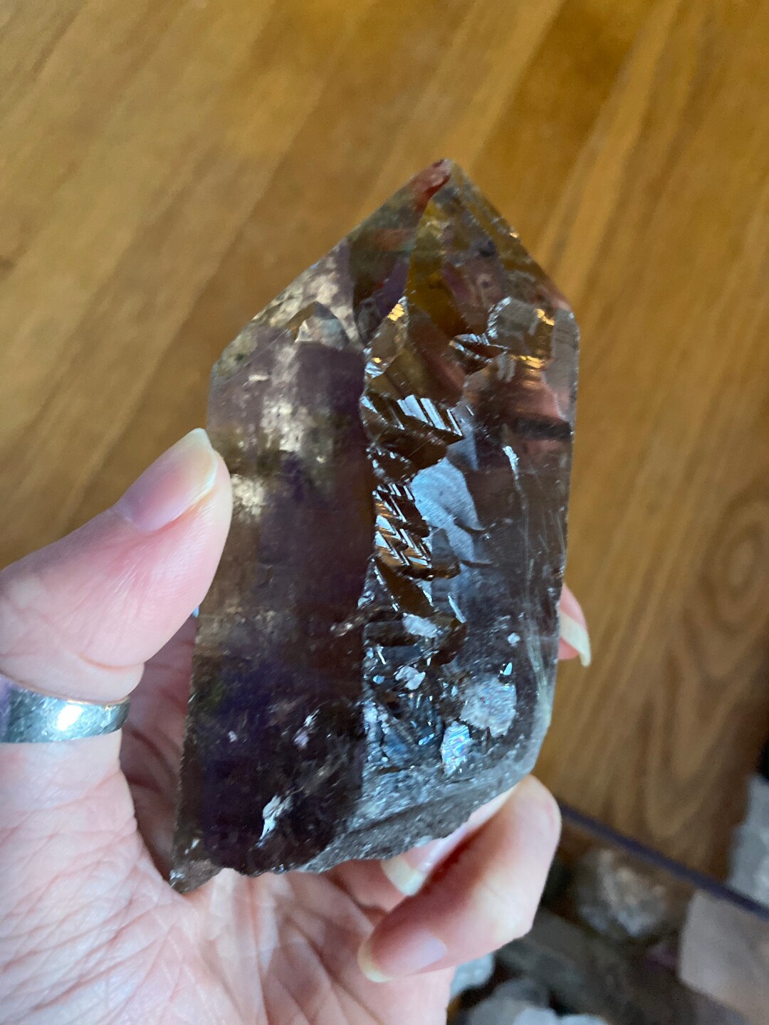 Shark Bites DEEP STAR MARKINGS Starbrary Unusual Huge Smoky Rutilated ...