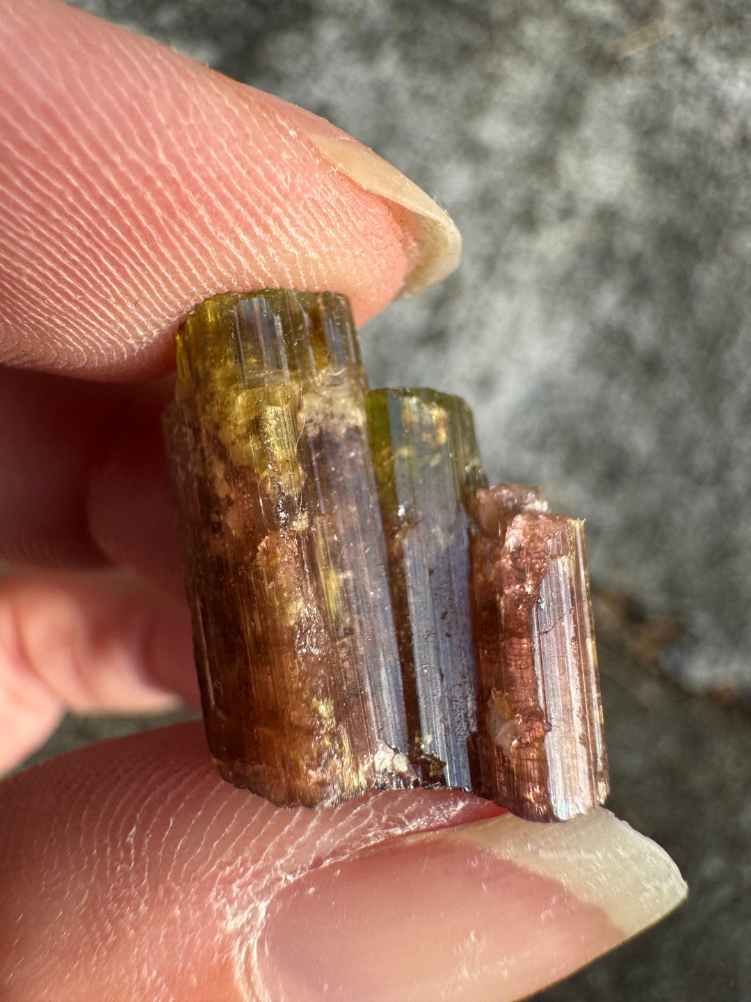 Lemon Tree Pocket Cats Eye Elbaite Var. Tourmaline Specimen Gem ...