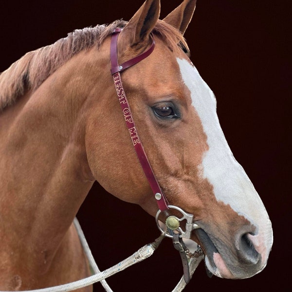 Custom Headstall - Etsy