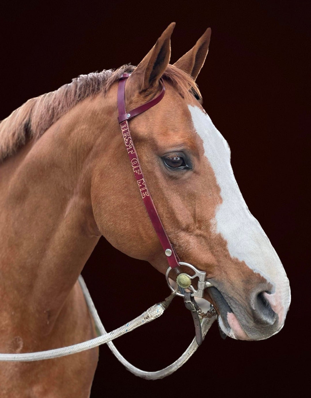 Custom Headstall - Etsy