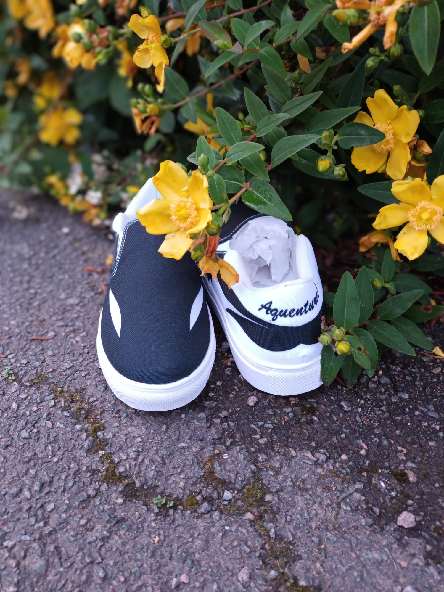 ORCA SHOES!! FREE Delivery!! Made From Real* Orca!! - Etsy