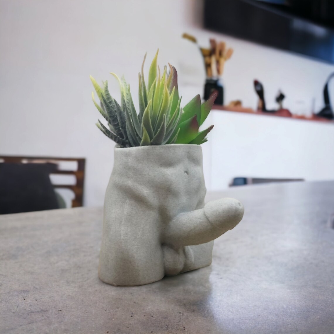 Penis Planter Pot, Penis Planter, Male Torso, Dick Planter, Balls Pot ...