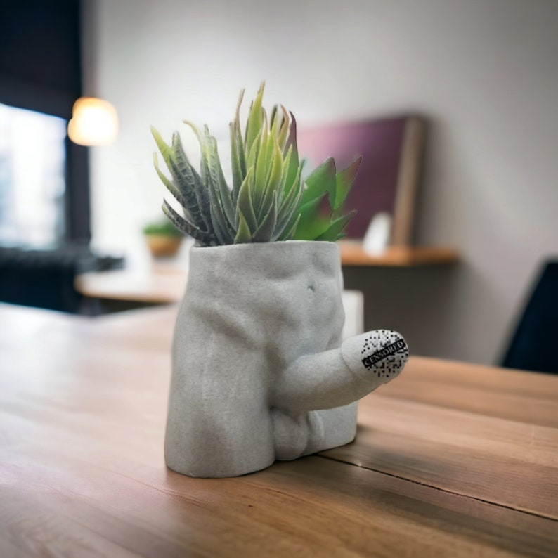 Penis Planter Pot, Penis Planter, Male Torso, Dick Planter, Balls Pot ...