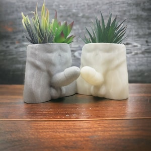 Penis Planter Pot, Penis Planter, Male Torso, Dick Planter, Balls Pot ...