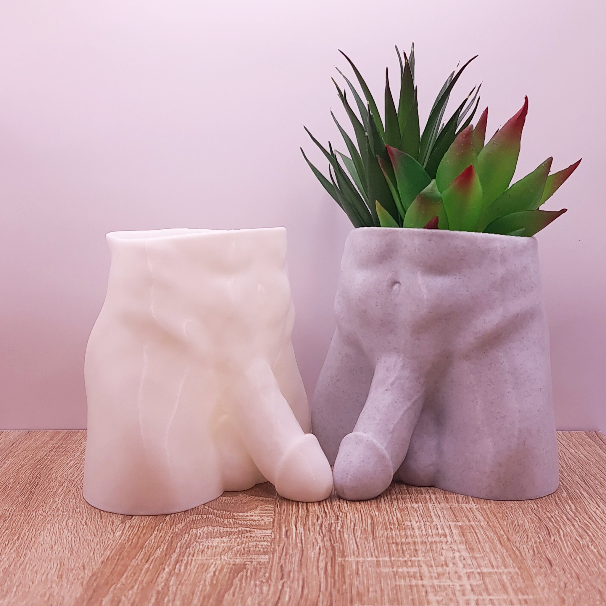 Weenie Peeing Planter Pot Penis Planter Male Torso Dick - Etsy