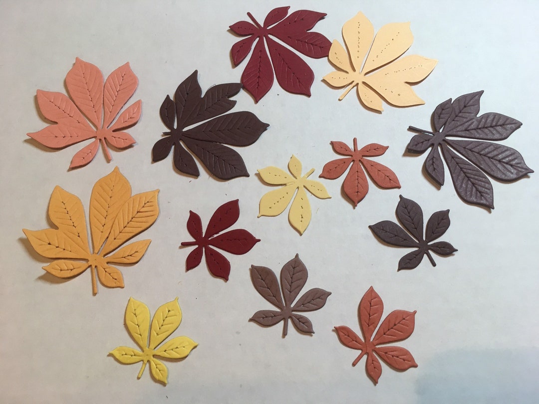 Bakers Dozen Package of 13 Die Cut / Embossed Fall Maple Leaves - Etsy