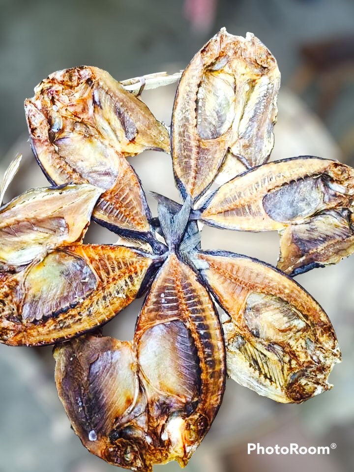 Danggit Large Dried Salted Daing 130g - Etsy