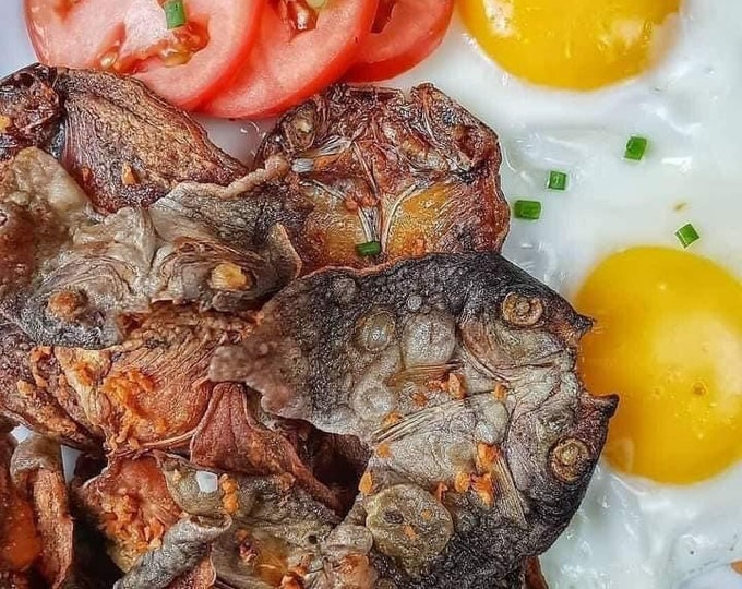 Danggit 110g Unsalted Boneless Dried Fish Daing Tuyo - Etsy