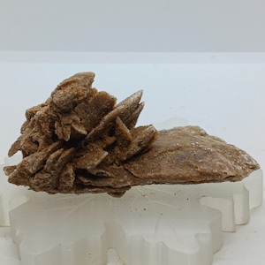 Desert Rose Specimen High Quality Natural Desert Rose Selenite Raw ...