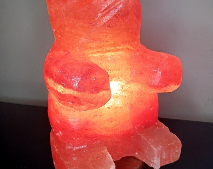 Large Himalayan Salt Lamp Teddy Bear Carving 7 Lbs Orange Lamp Natural ...