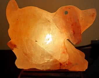 Large Himalayan Salt Lamp Teddy Bear Carving 7 Lbs Orange Lamp Natural ...