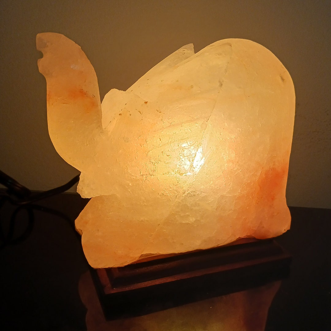 Large Himalayan Salt Lamp Elephant Carving 6lbs Orange Lamp Natural ...