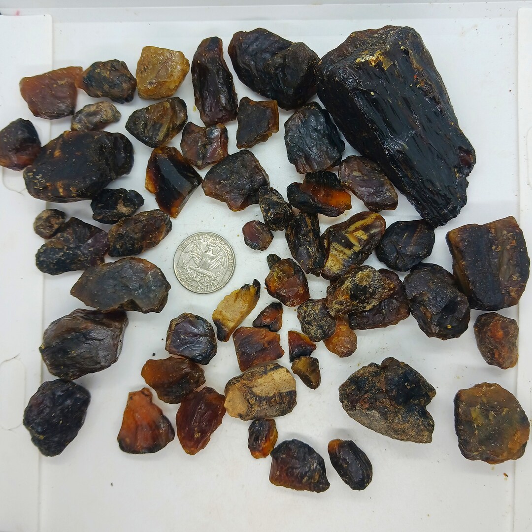 Raw Amber Specimen: Natural Tree Sap Resin (7oz, 50pc) - Etsy