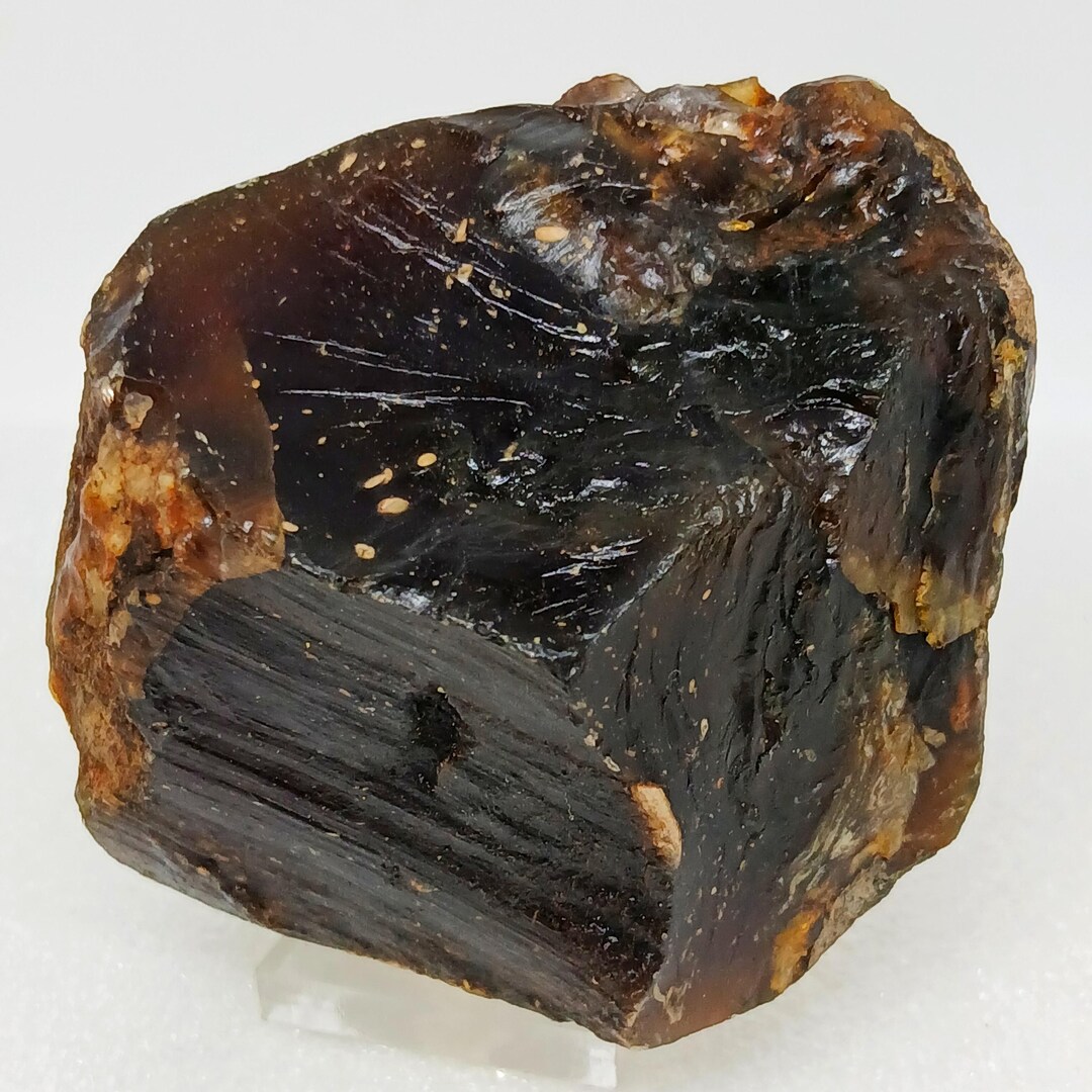 Natural Amber Specimen Large Amber Stone Yellow Amber Tree Sap Small ...