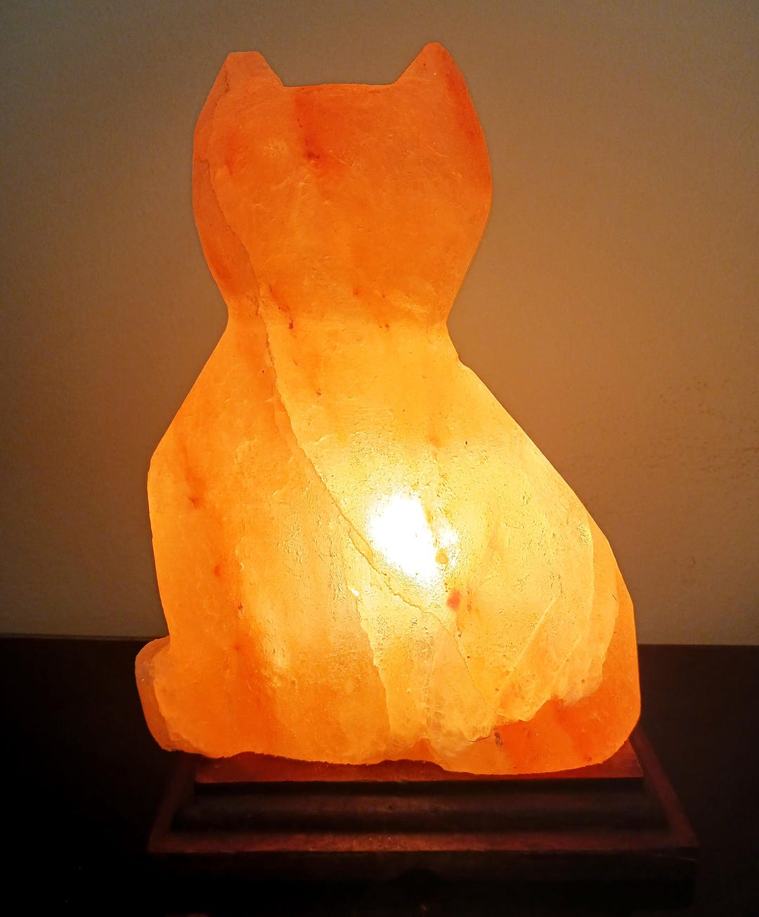 Large Himalayan Salt Lamp Cat Carving 6lbs Orange Cat Lamp Natural Salt ...
