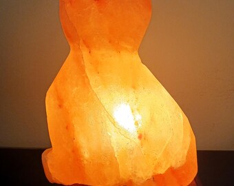 Large Himalayan Salt Lamp Teddy Bear Carving 7 Lbs Orange Lamp Natural ...