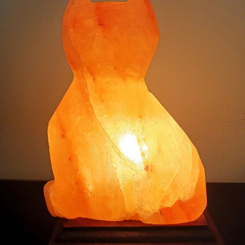 Cat Lamp - Etsy
