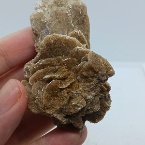 Desert Rose Specimen High Quality Natural Desert Rose Selenite Raw ...
