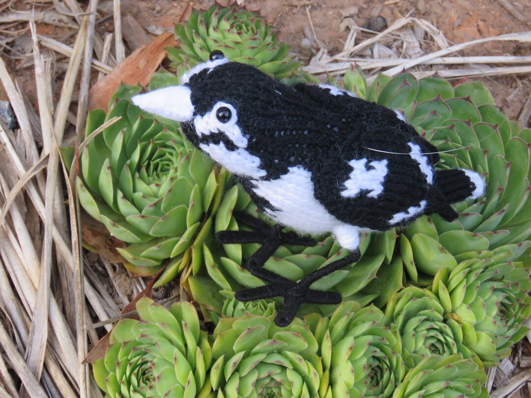 Knitted Australian Pee Wee Magpie Lark Native Bird - Etsy