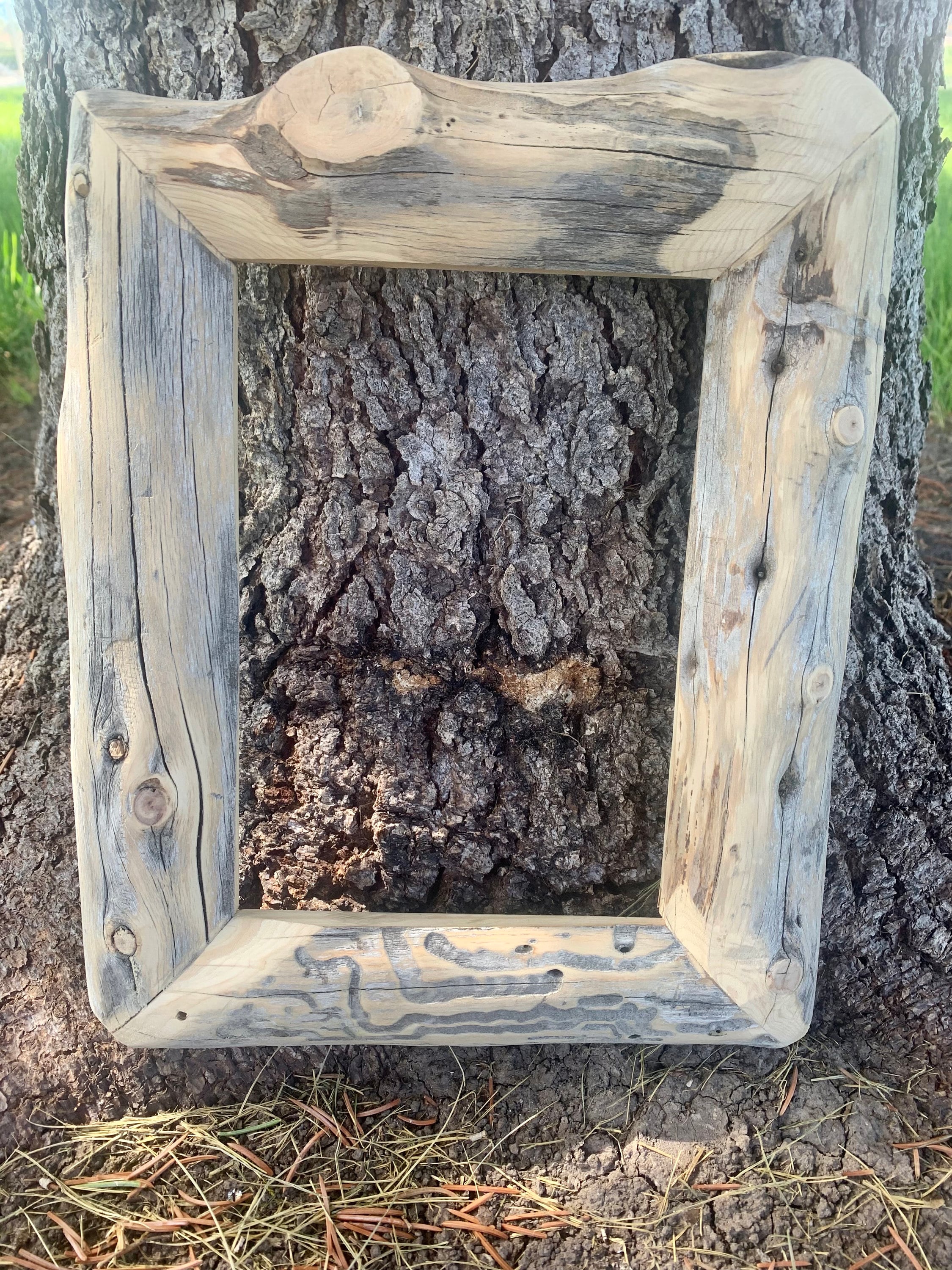 5x7 Log Picture Frame, Rustic Picture Frame, Juniper, Log Home 5x7 ...