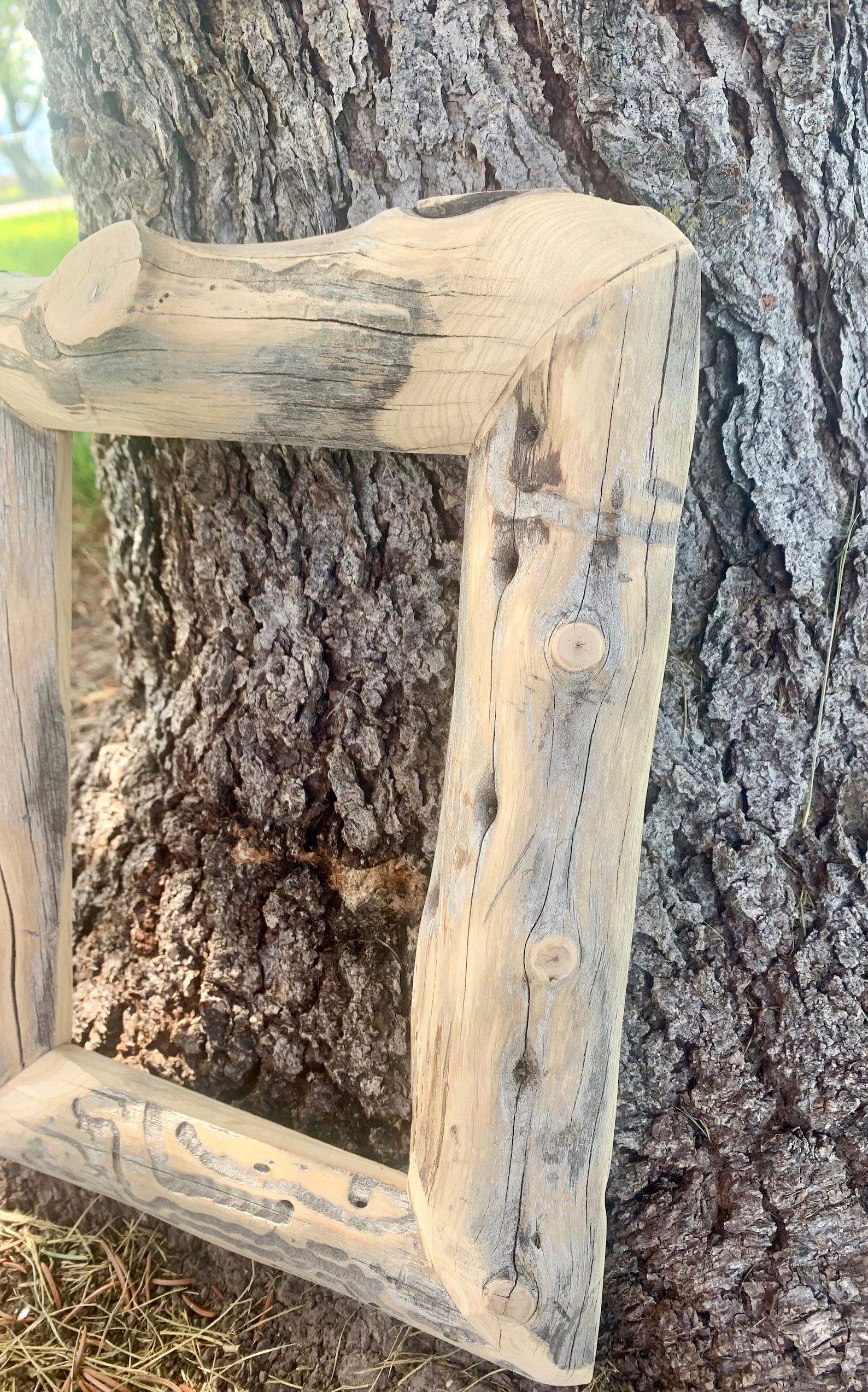 5x7 Log Picture Frame, Rustic Picture Frame, Juniper, Log Home 5x7 ...