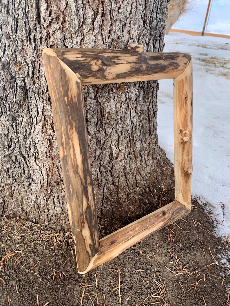 8x10 Log Picture Frames, Rustic Picture Frames Juniper, Log Home 8x10 ...