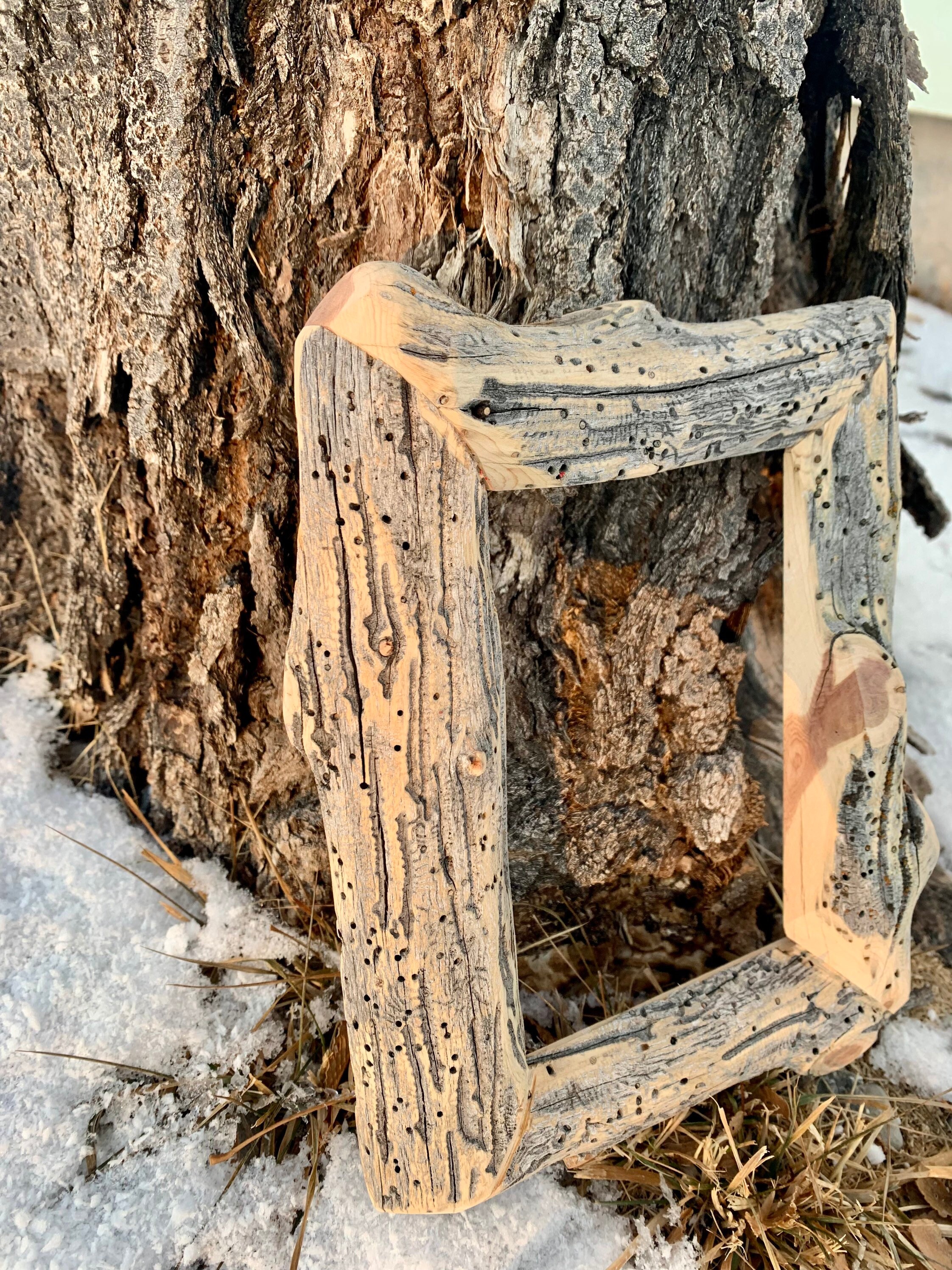 4 X 6 Log Picture Frame, Rustic Home Decor, Picture Frames, Log Home ...