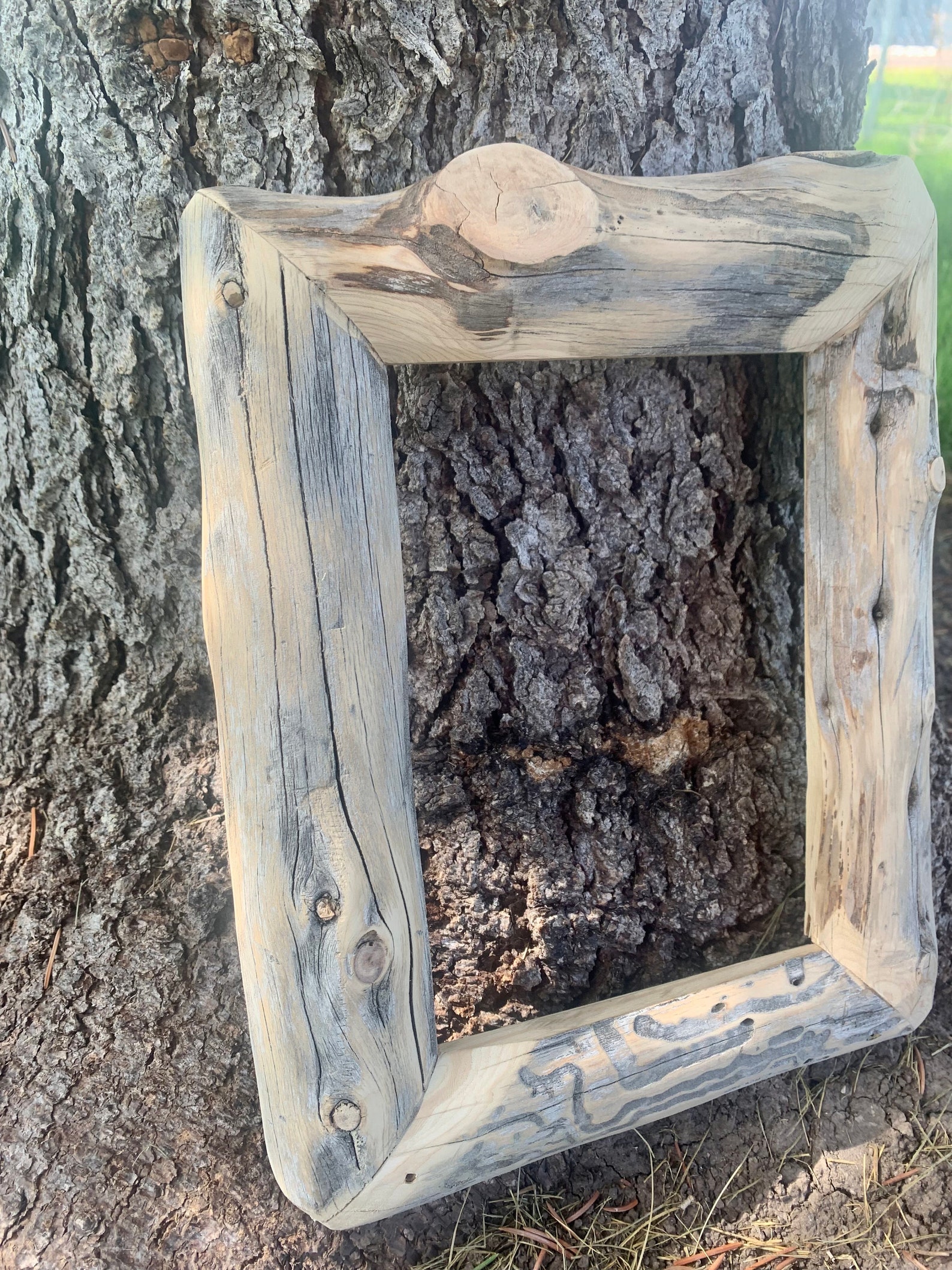 5x7 Log Picture Frame, Rustic Picture Frame, Juniper, Log Home 5x7 ...