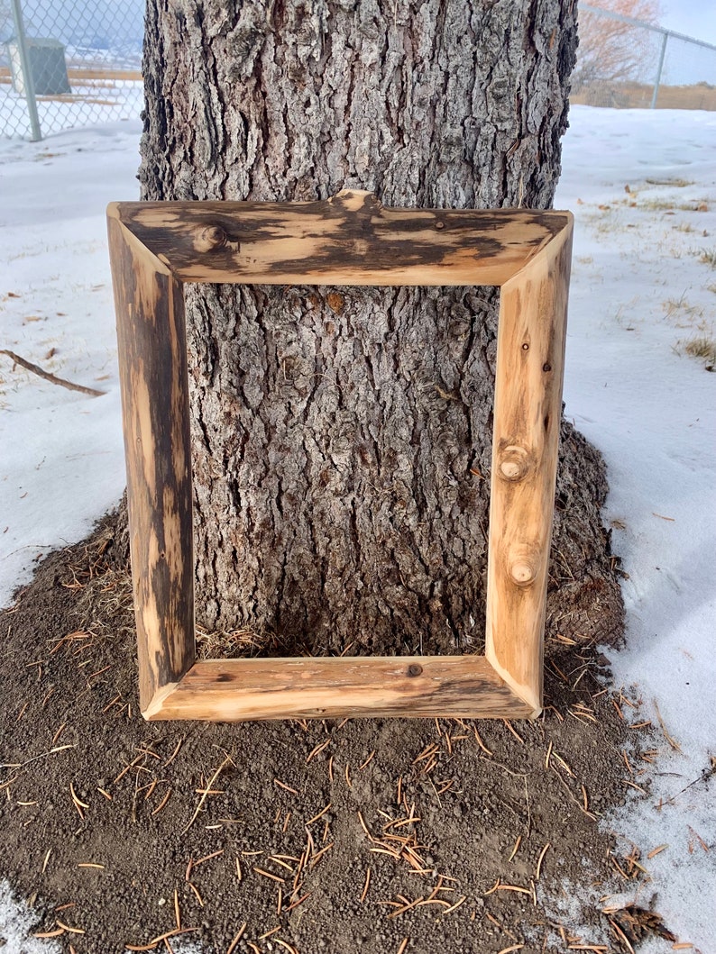8x10 Log Picture Frames, Rustic Picture Frames Juniper, Log Home 8x10 ...