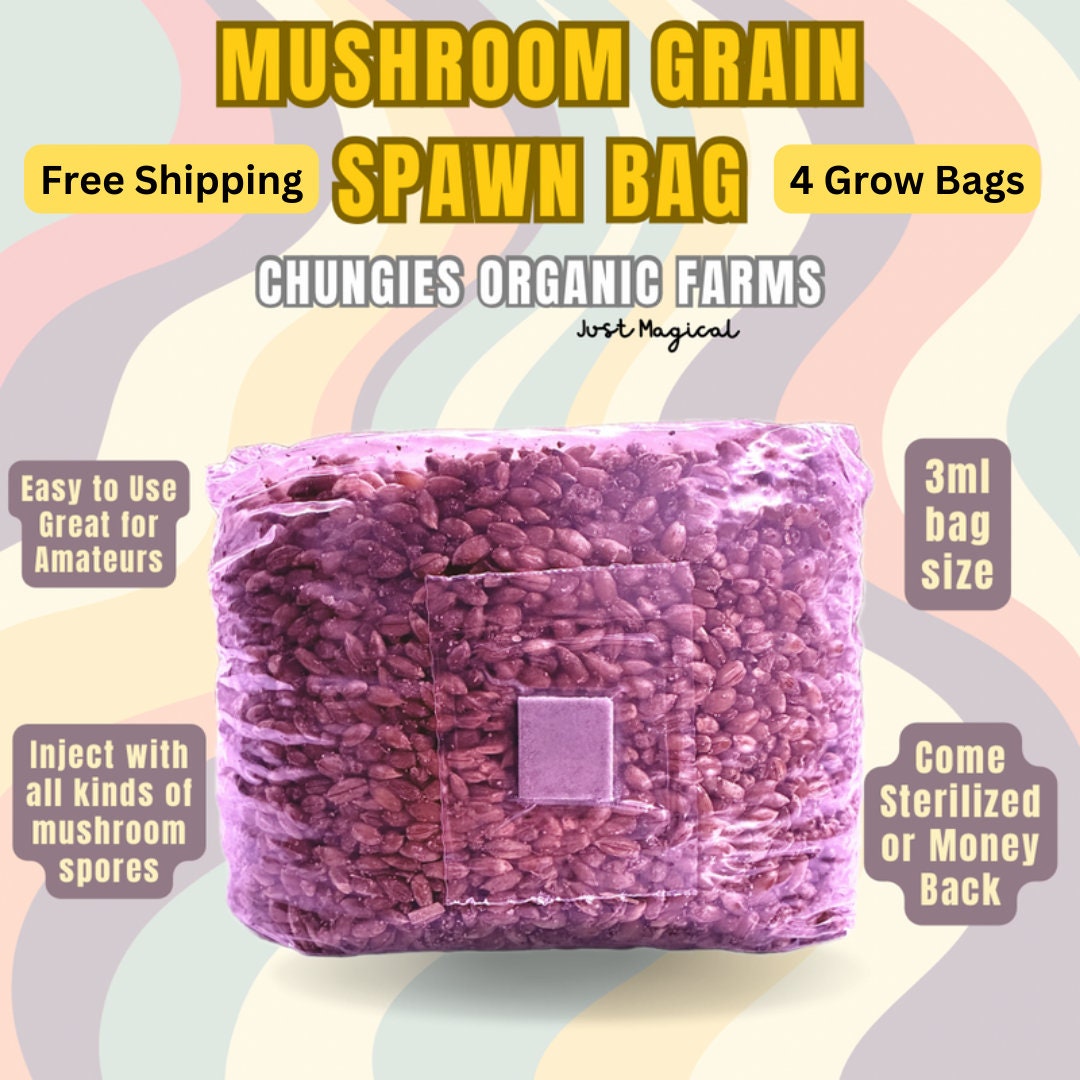 4pack Rye Grain Spawn Bag Mushroom Growing Bag Organic Rye Grain Substrate Sterilized Mushroom ...