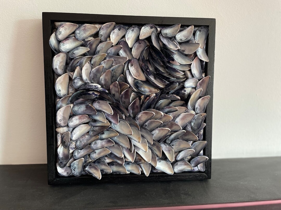 Mussel Shell Wall Mosaic, Mussel Shell Wall Hanging , Shell Mosaic ...