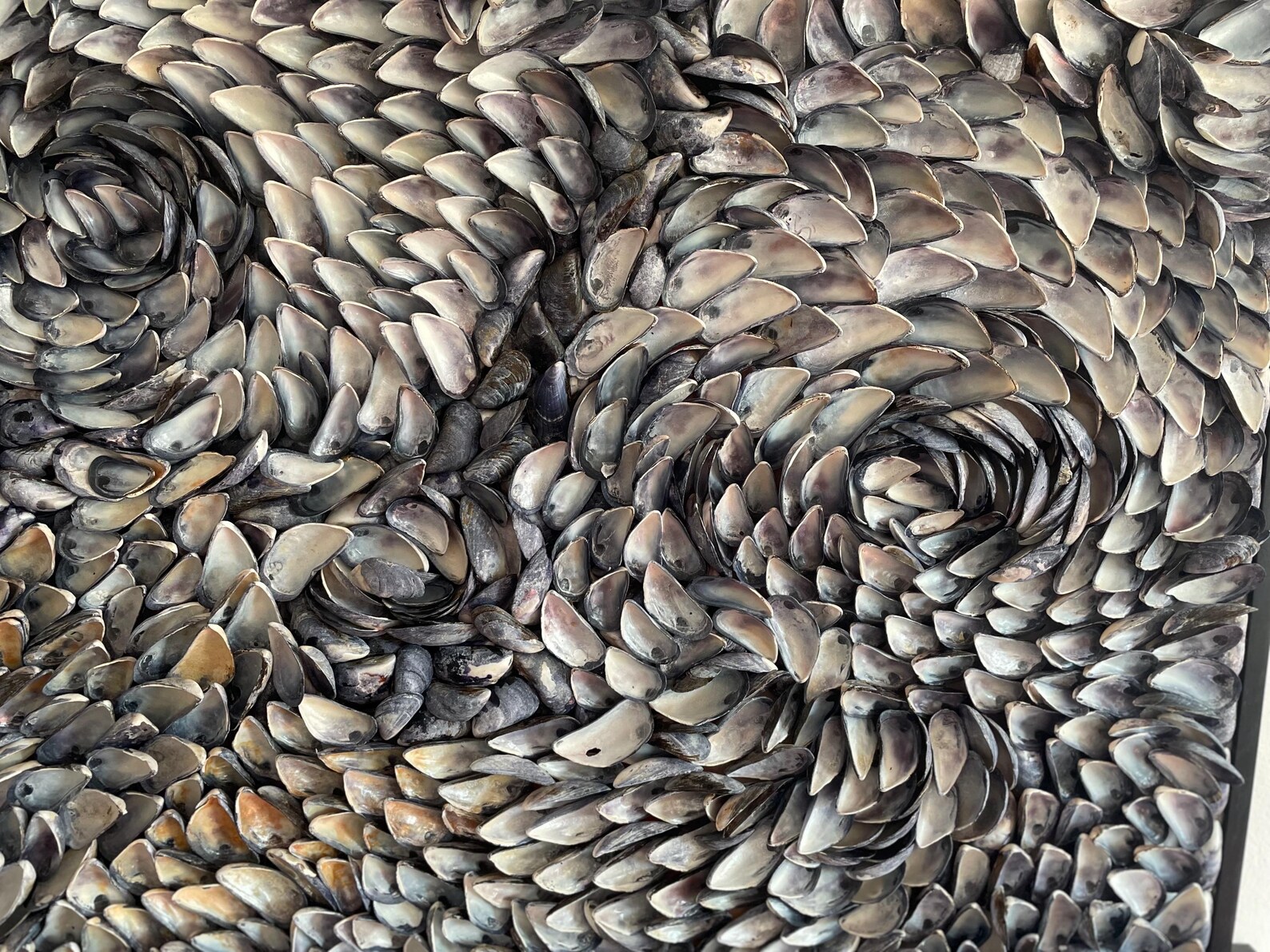 Mussel Shell Wall Mosaic, Shell Wall Hanging Mosaic, Nautical Decor ...