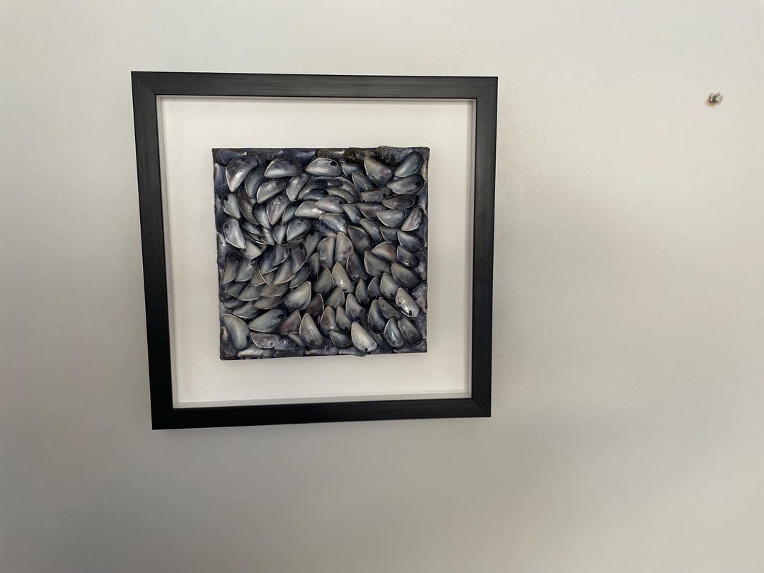 Mussel Shell Picture,mussel Shell Artwork , Shell Wall Hanging , Beach ...