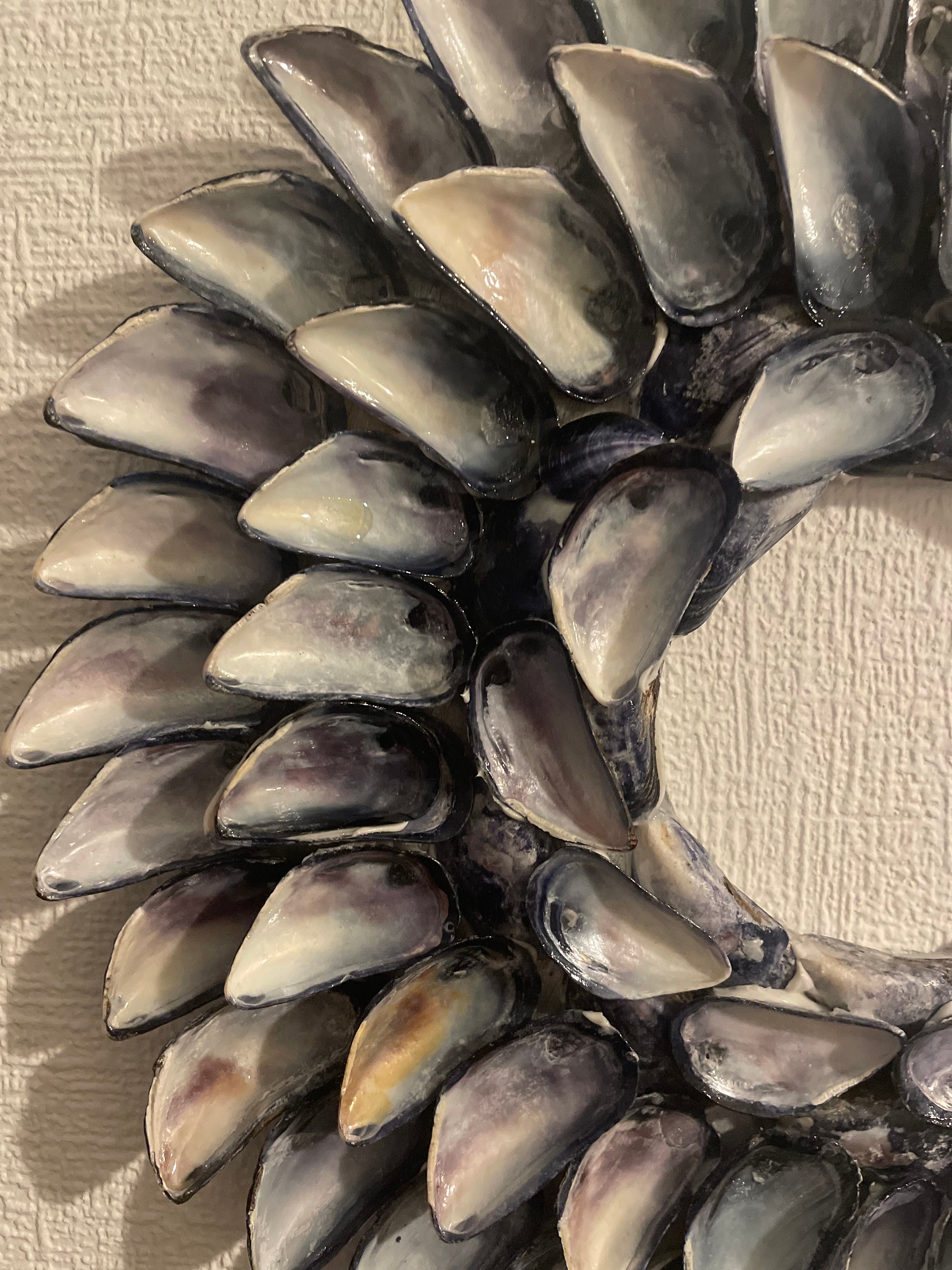Small Indoor Shell Wreath, Mussel Shell Wreath, Shell Wall Art ...
