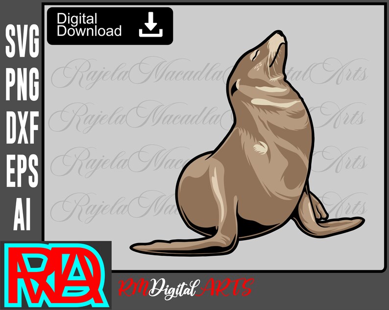 Robbe Svg, Seelöwe svg, Seelöwe svg, Seelöwe svg, Robbe Png ...