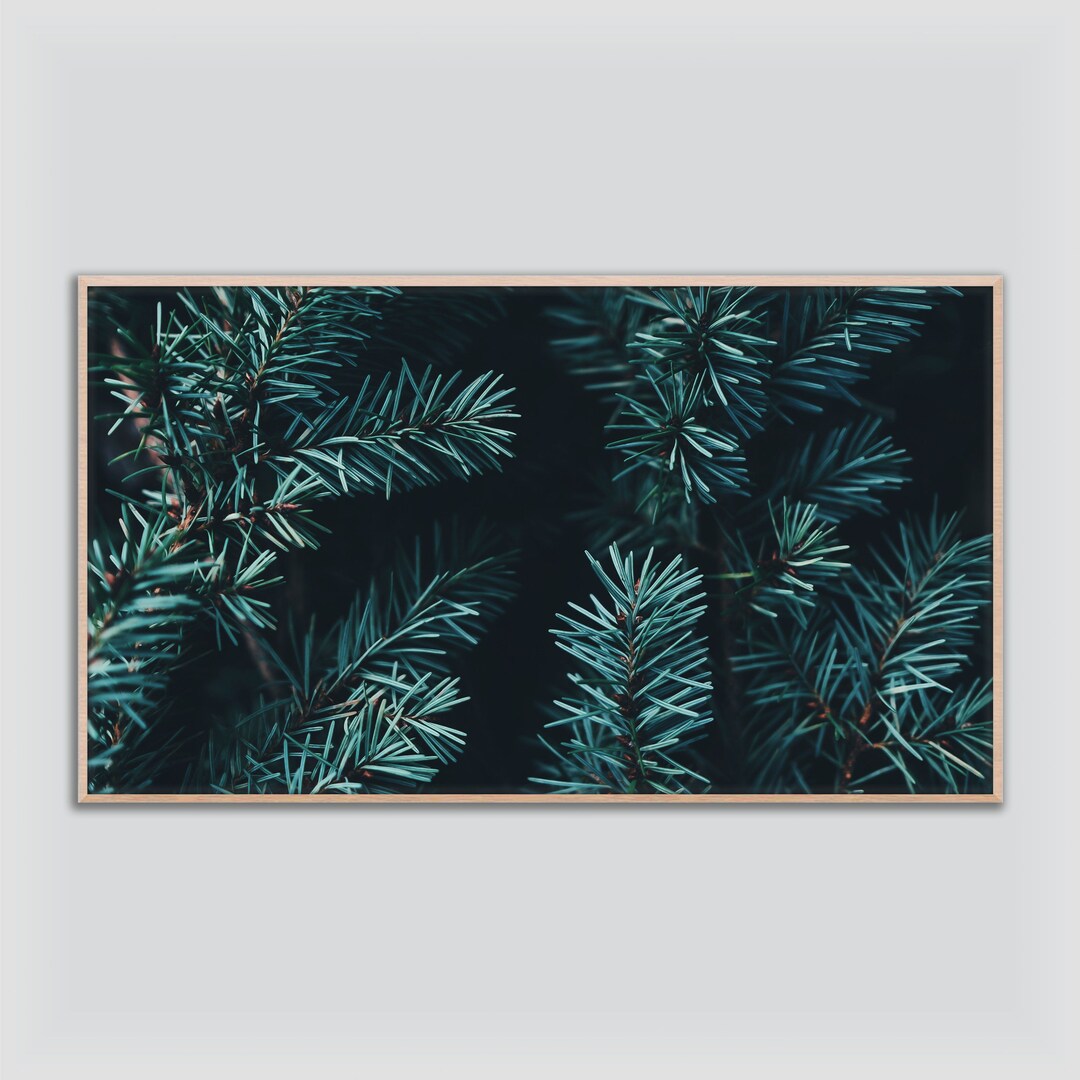 EVERGREEN BRANCHES Frame TV Art, Evergreens in Dark Green, Christmas Tv ...