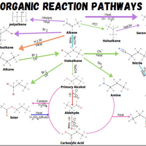 Organic Chemistry - Etsy