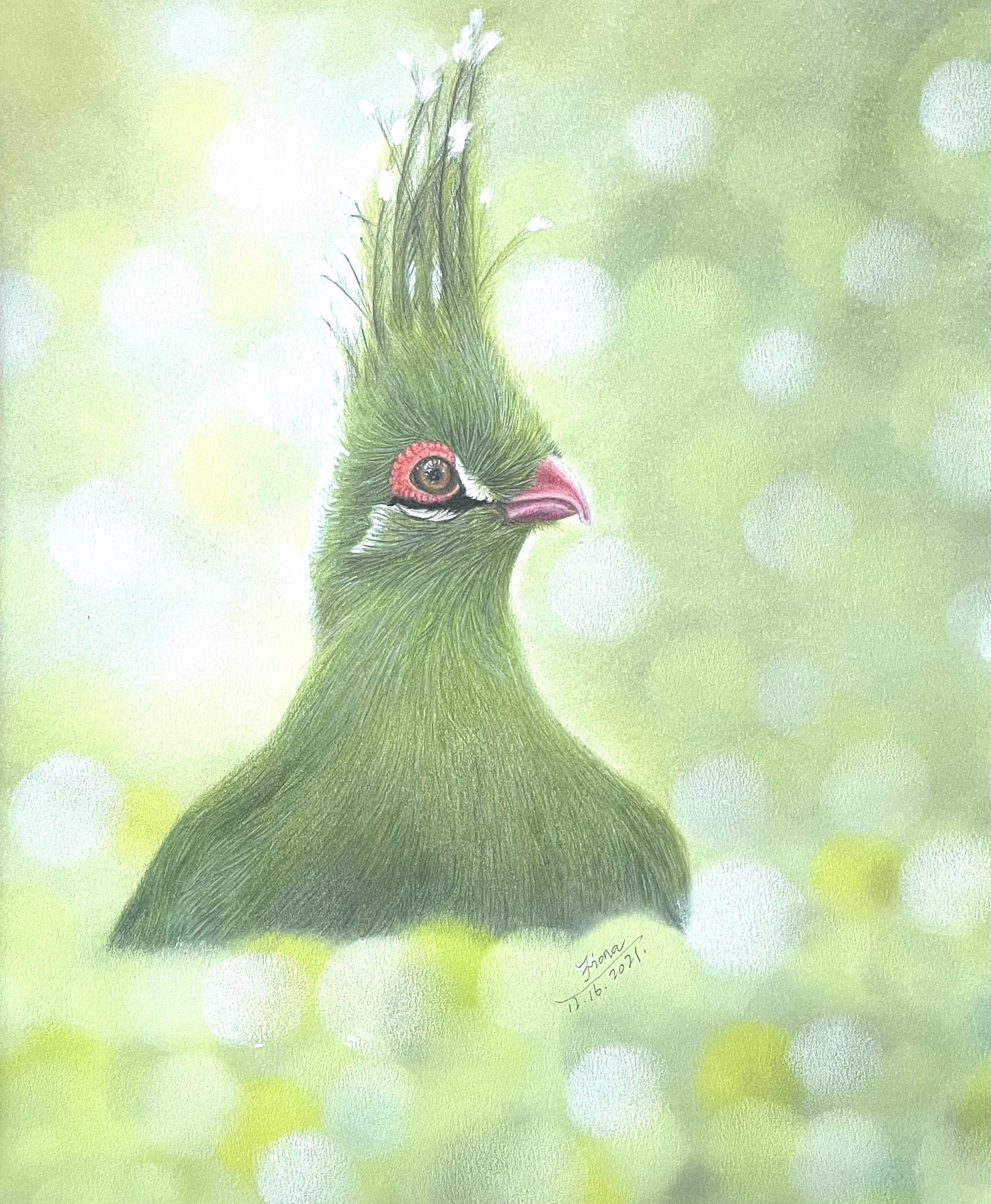 Color Pencil Drawing:shouting of the Eagle - Etsy