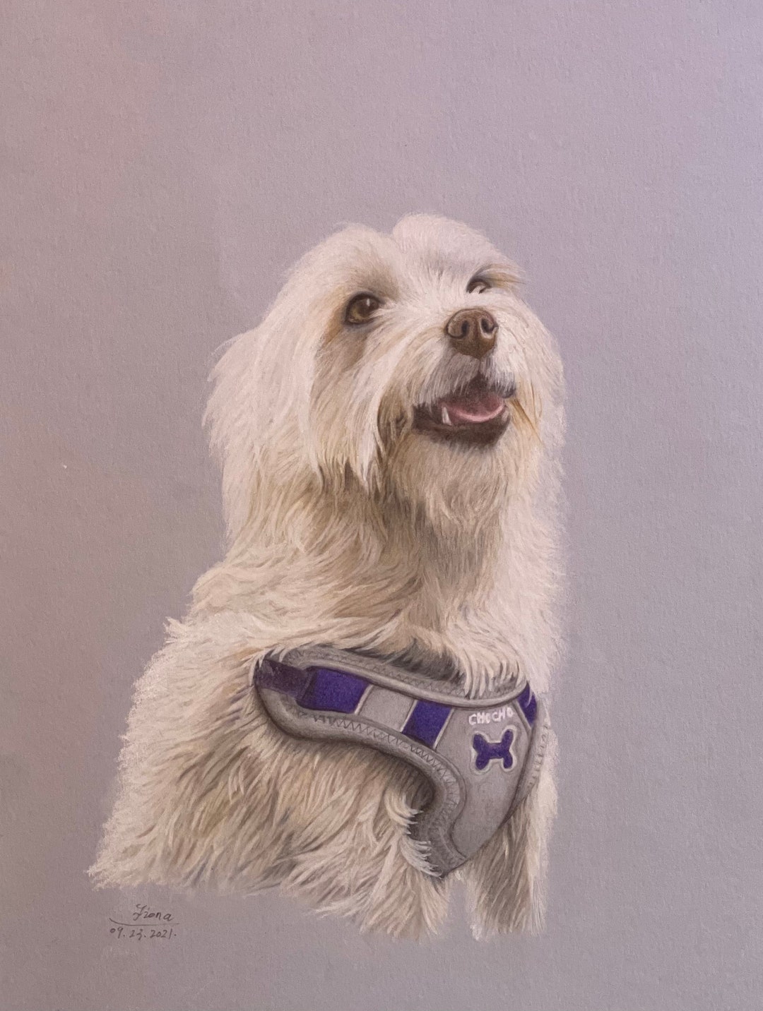 Dog Color Pencil Drawing - Etsy