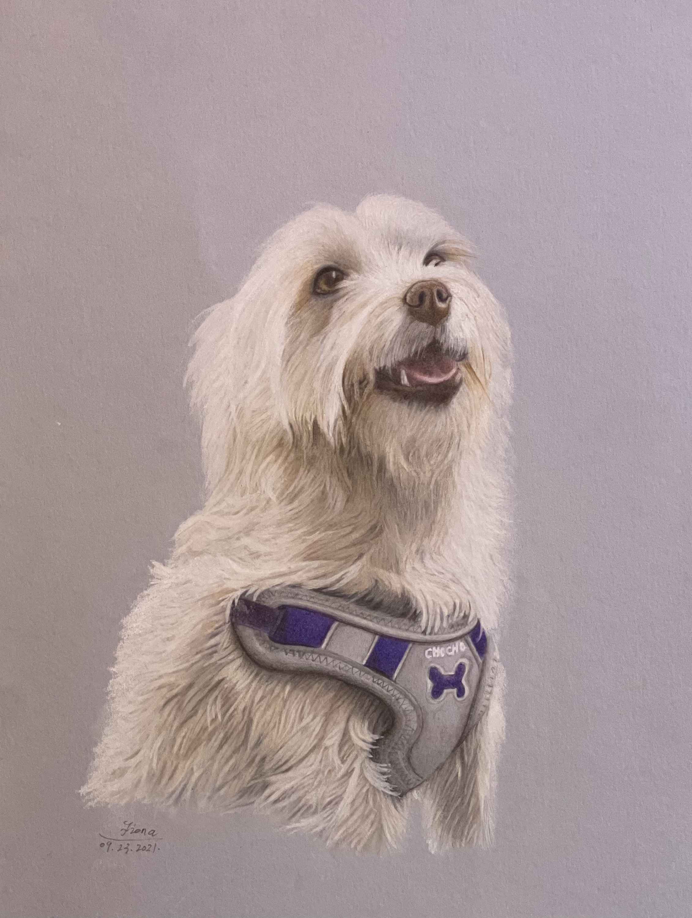 Color Pencil Drawing:shouting of the Eagle - Etsy