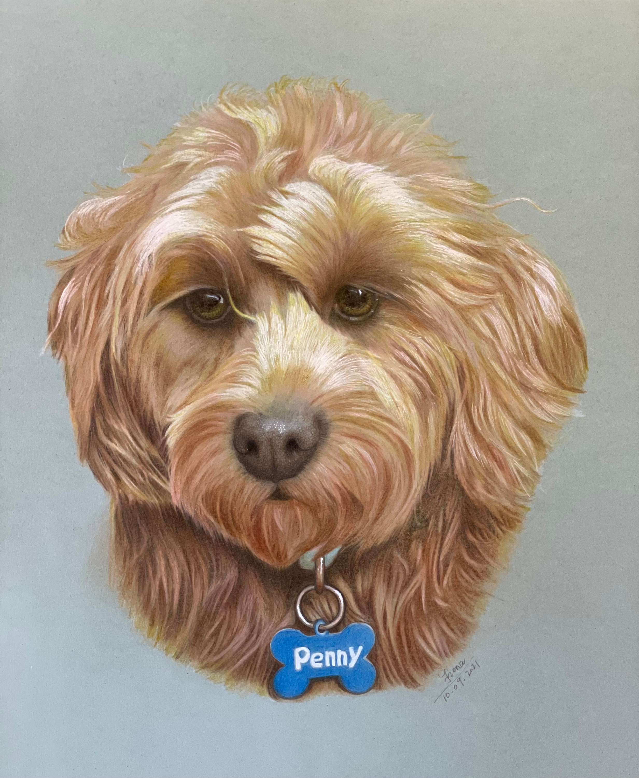 Color Pencil Drawing:shouting of the Eagle - Etsy