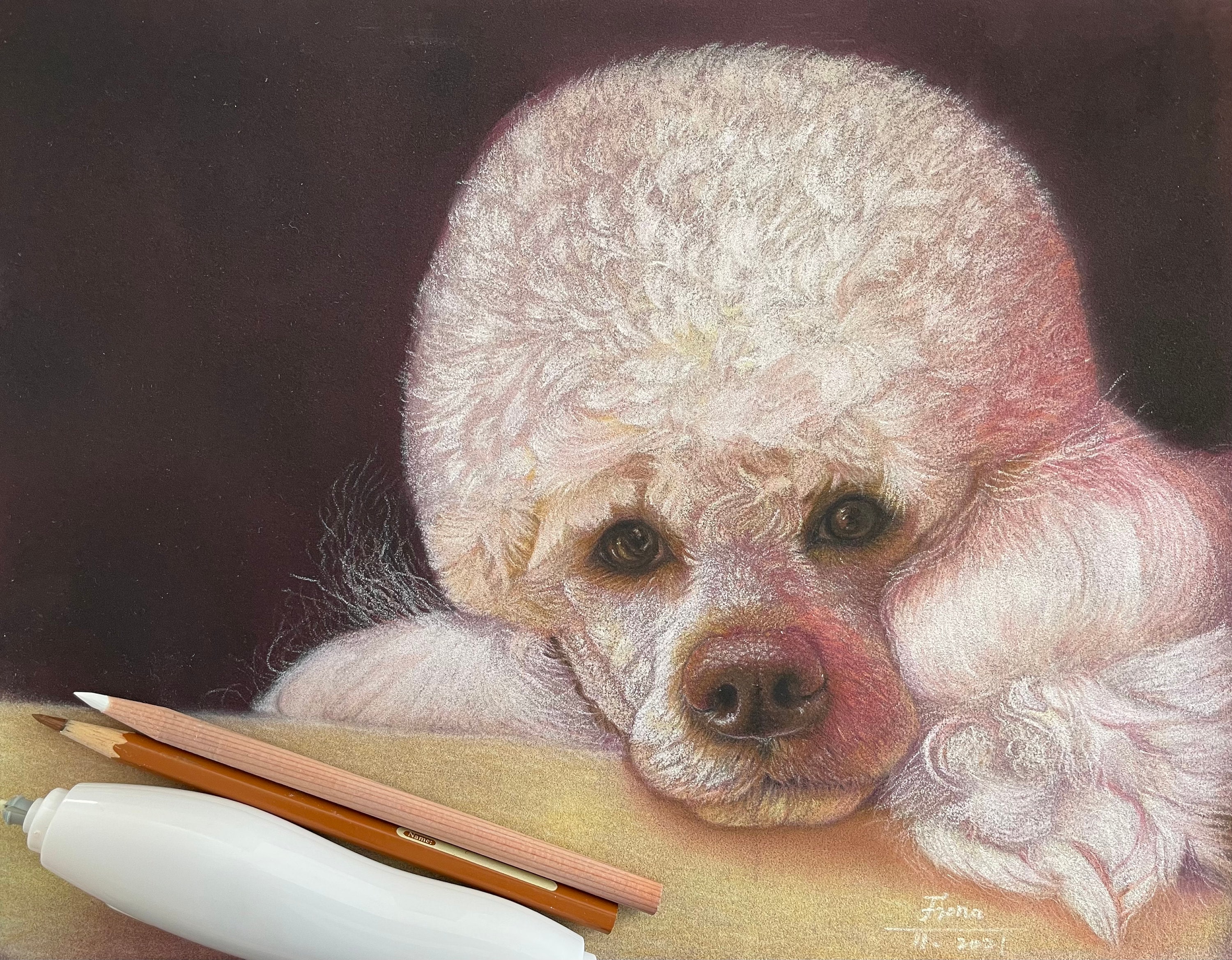 Color Pencil Drawing:shouting of the Eagle - Etsy