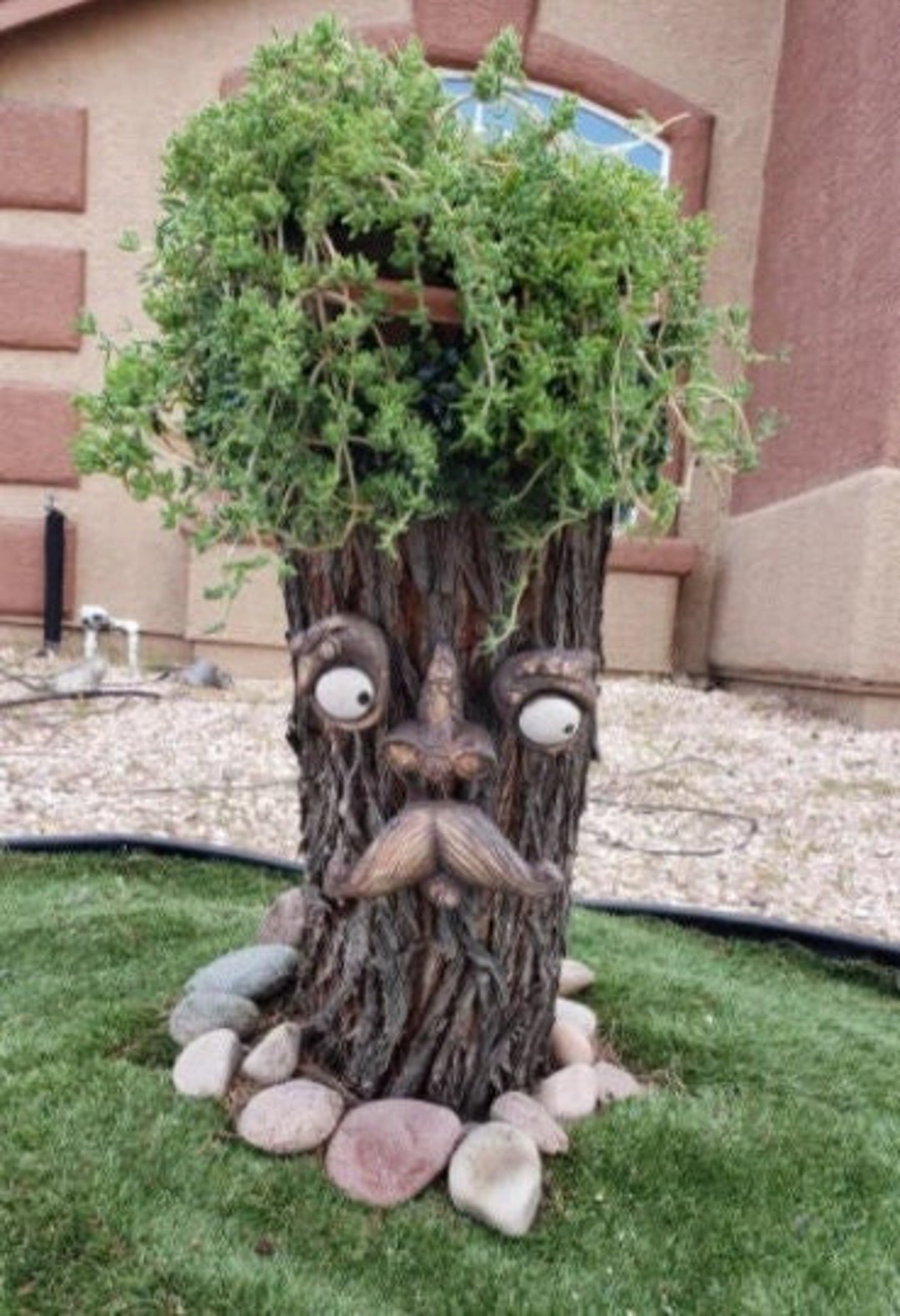 Old Man Tree Hugger Yard Art Decorations Tree Faces Outdoor - Etsy
