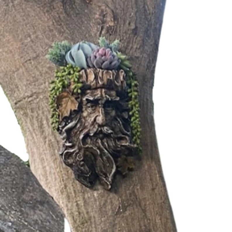 Tree Face Sculpture, Whimsical Old Man Tree Hugger Hanging Flower ...