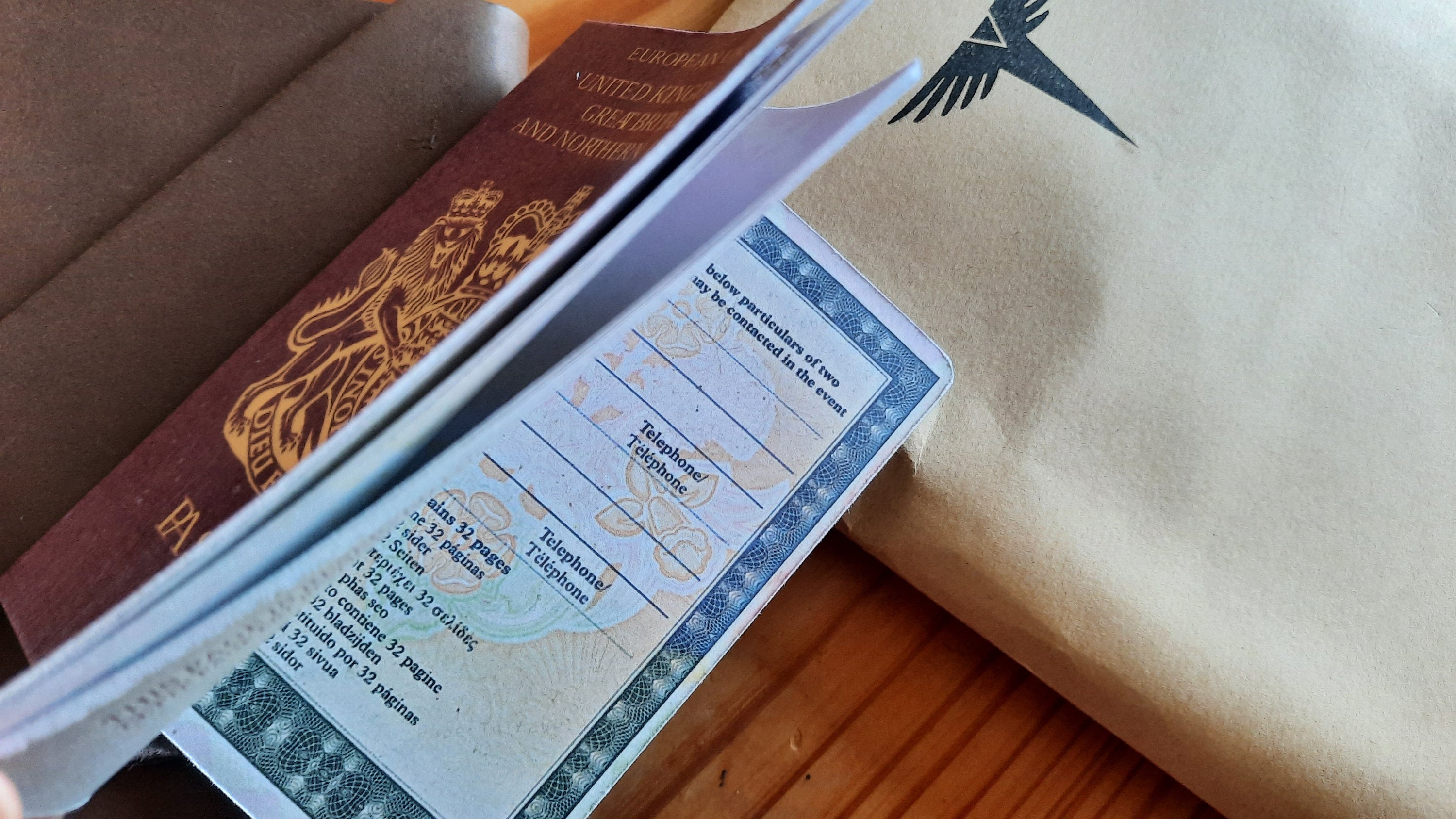 Lara Amelia Croft Survivour, Rise and Shadow of Tomb Raider. - Etsy