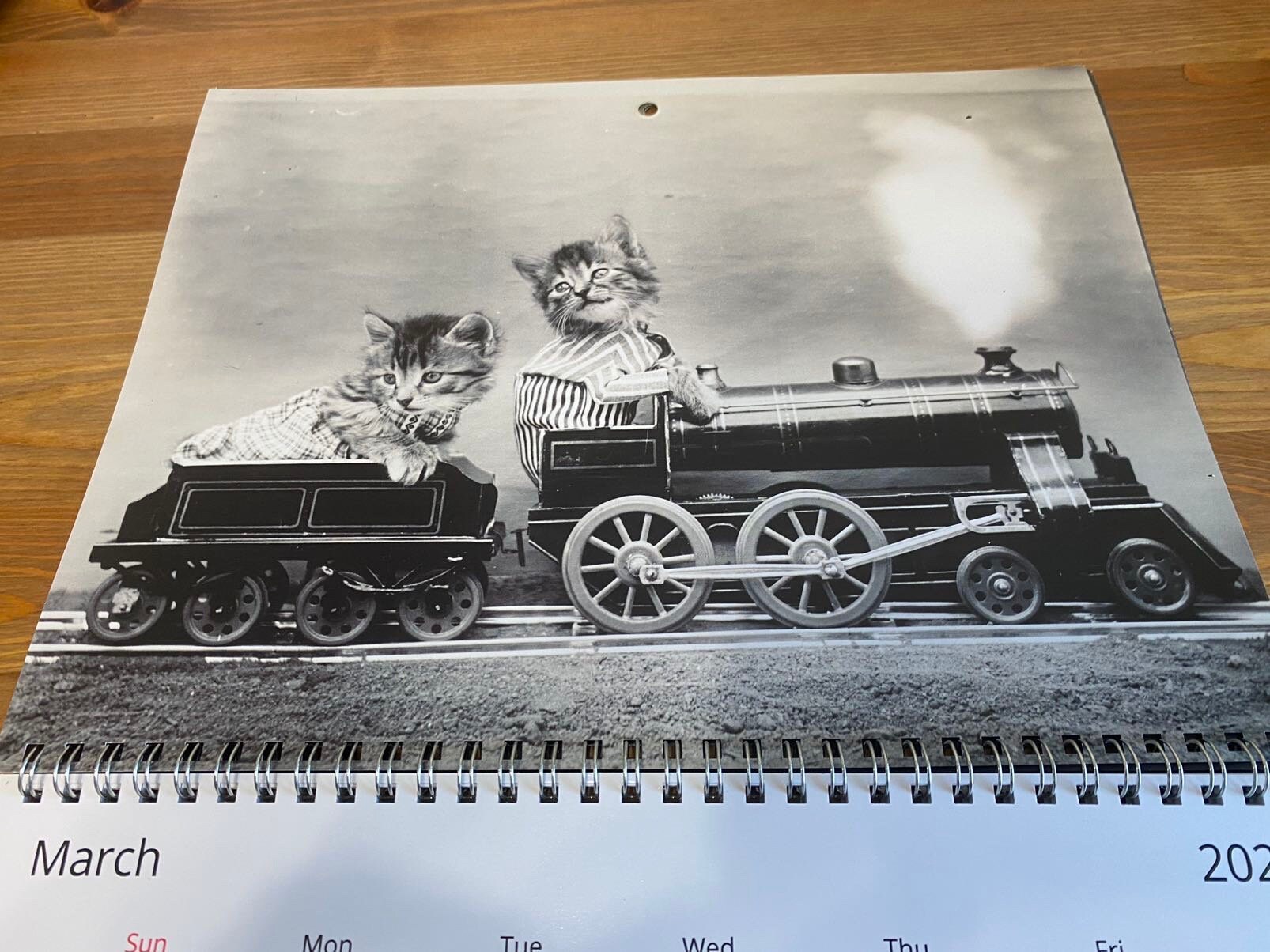 2023 Vintage Cats Calendar, Funny Cat Wall Calendar, Classic Black and ...