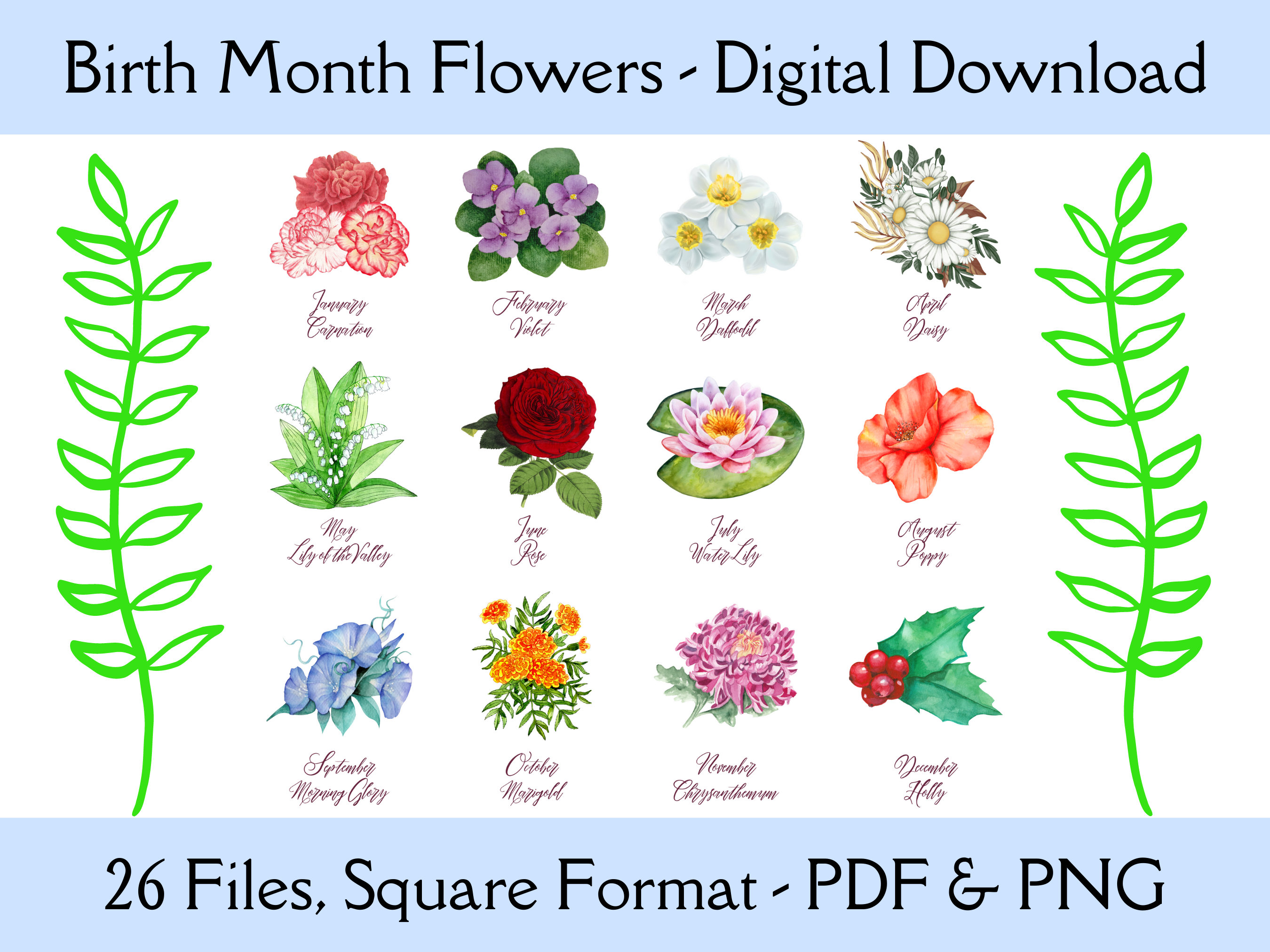 Birth Month Flowers, 12-months, Illustrated Flower Artwork, Square ...