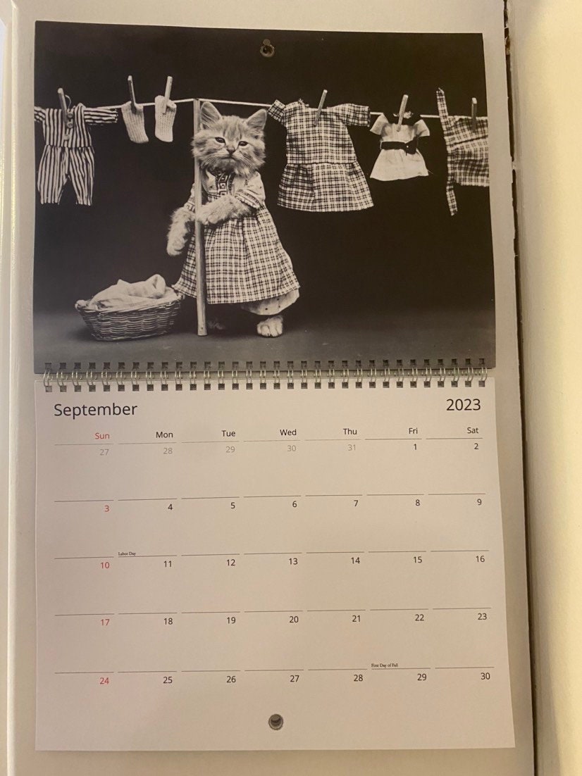 2023 Vintage Cats Calendar, Funny Cat Wall Calendar, Classic Black and ...