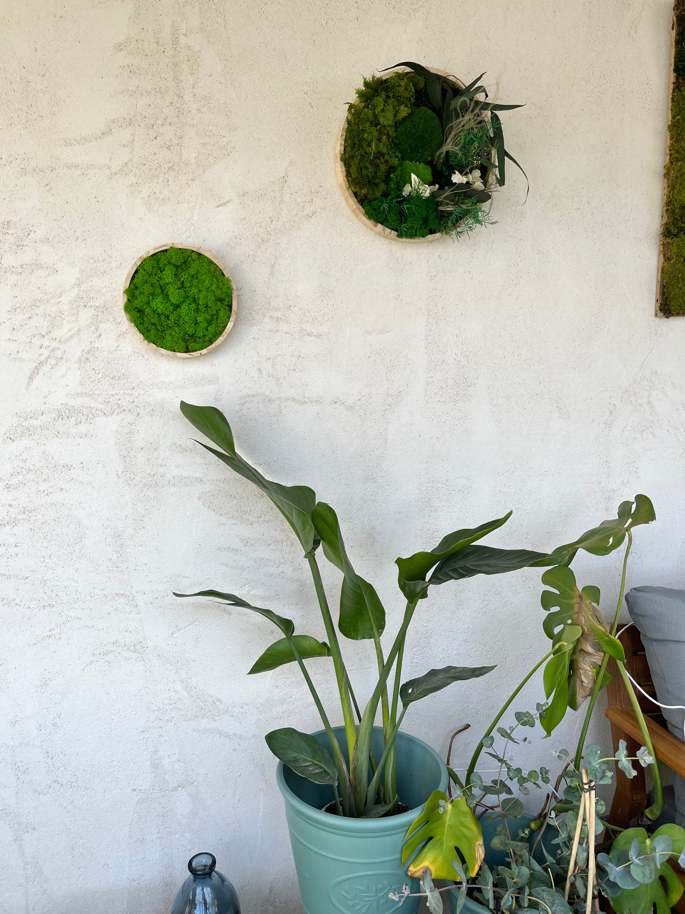 Plant Frame / Round Frame / Foam Frame / Stabilized Foam / - Etsy