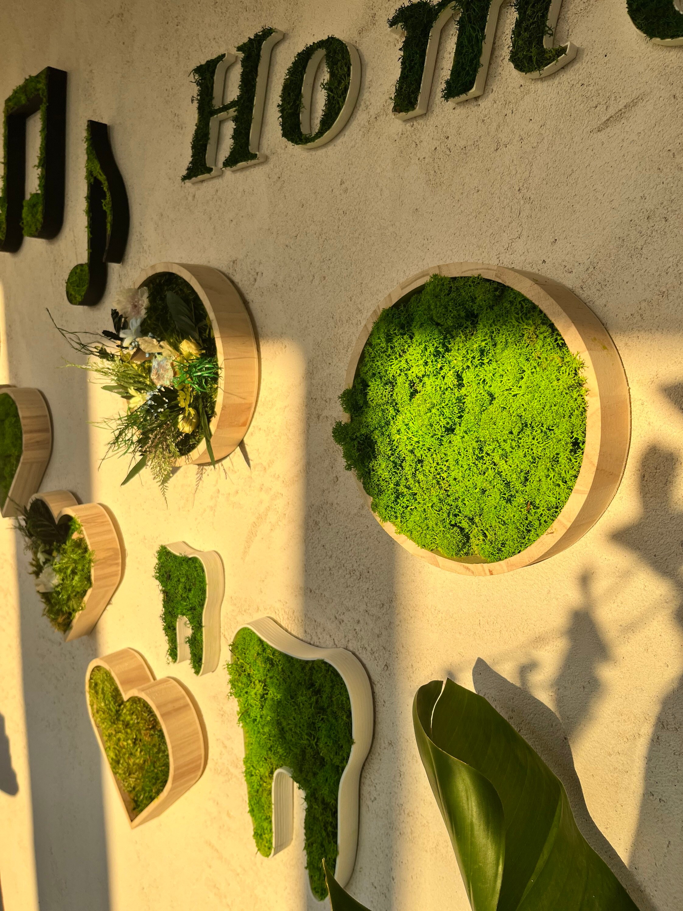 Plant Frame / Round Frame / Foam Frame / Stabilized Foam / - Etsy